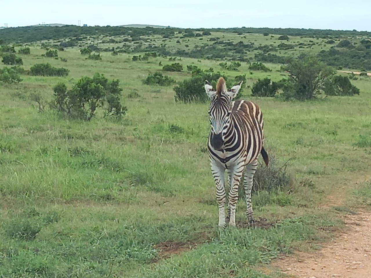 Beatrix, Roland, Heike, Heinz, Sabine, Uwe, Antje and Carsten 25 ...