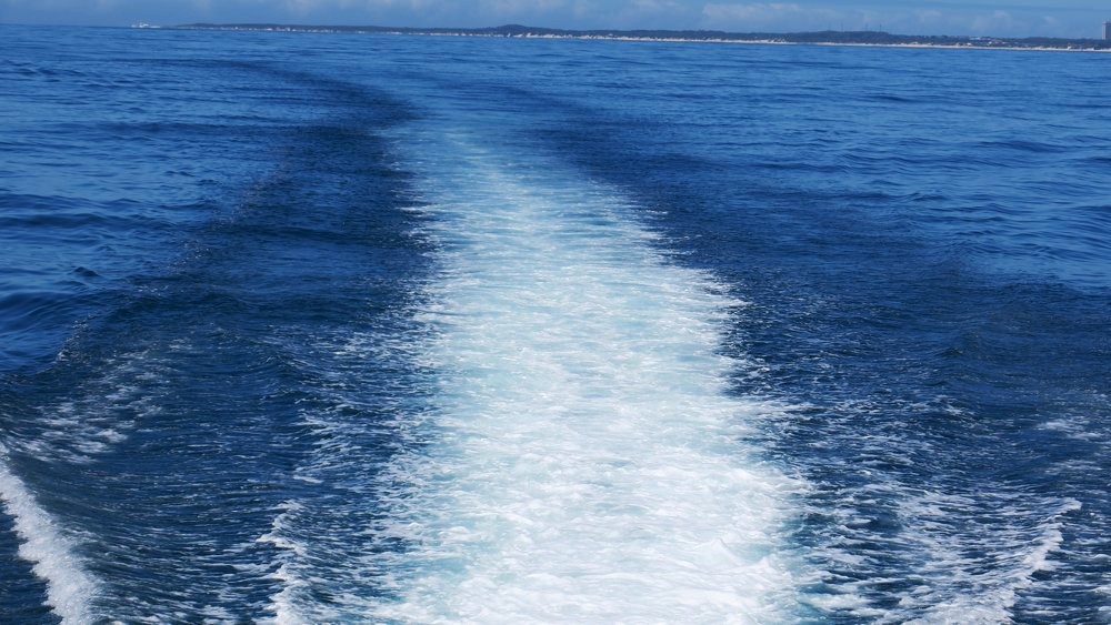 Hendrik and Partner, Helena and Jessika 17 November 2024 – Alan Tours