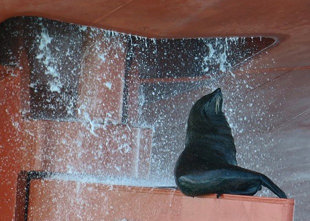 Hendrik and Partner, Helena and Jessika 17 November 2024 – Alan Tours