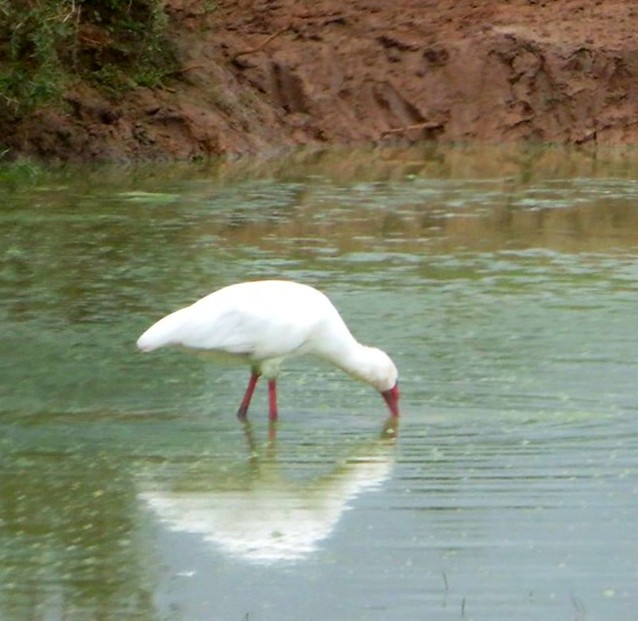 Thomas, Kornelia, Sigrid, Dieter, Melanie, Monika and Gudrun 20 ...