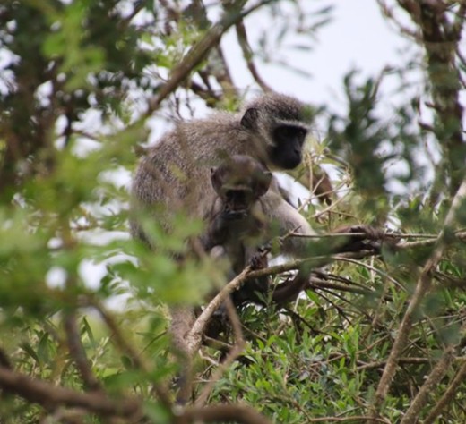 Kirsten, Tanja, Antjie, Corinna, Rex, Monika, Peter and Jens 20 ...